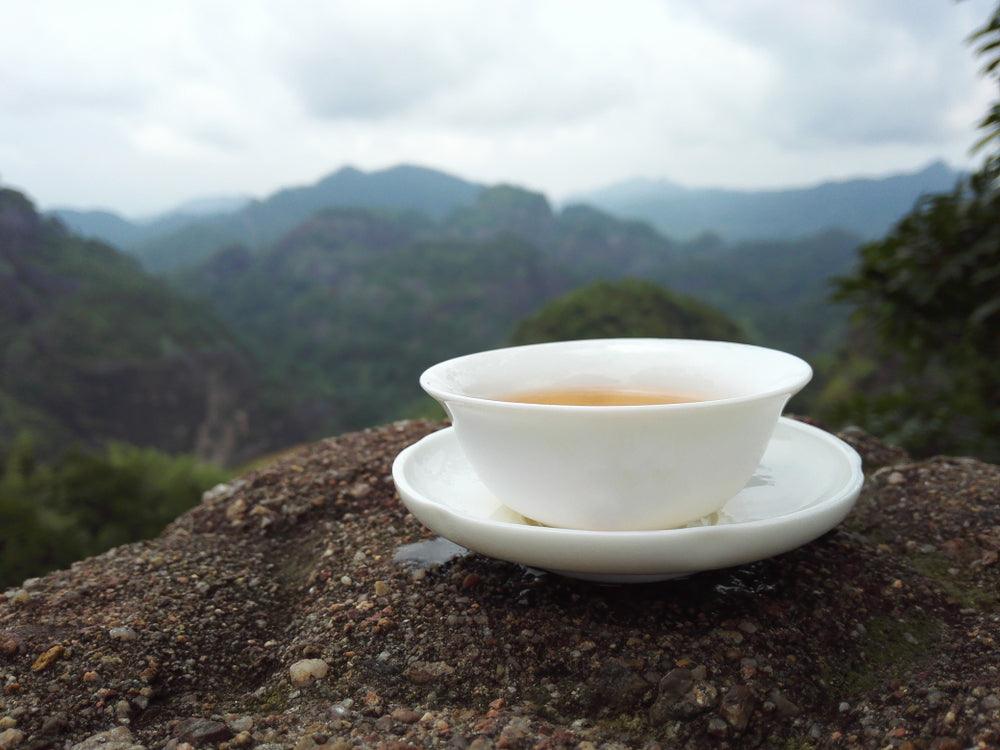 Signature oolong teas - Yancha and Dan Cong Oolong