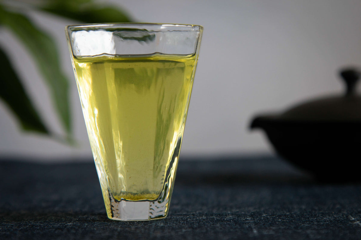 A Guide to Main Japanese Tea Cultivars: Flavor and Characteristics